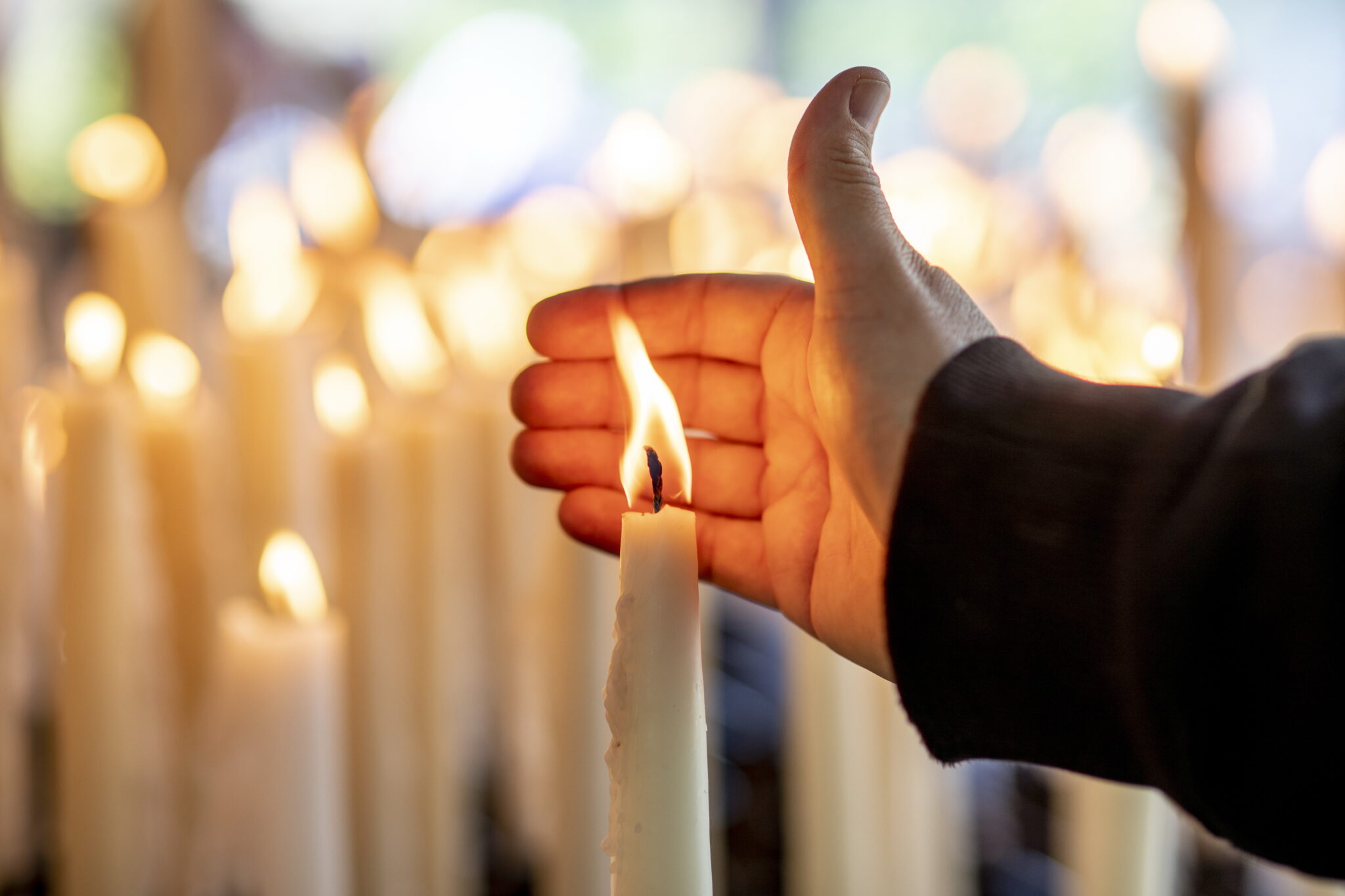 Candlemas, the Presentation of Jesus in the Temple and the World Day of ...